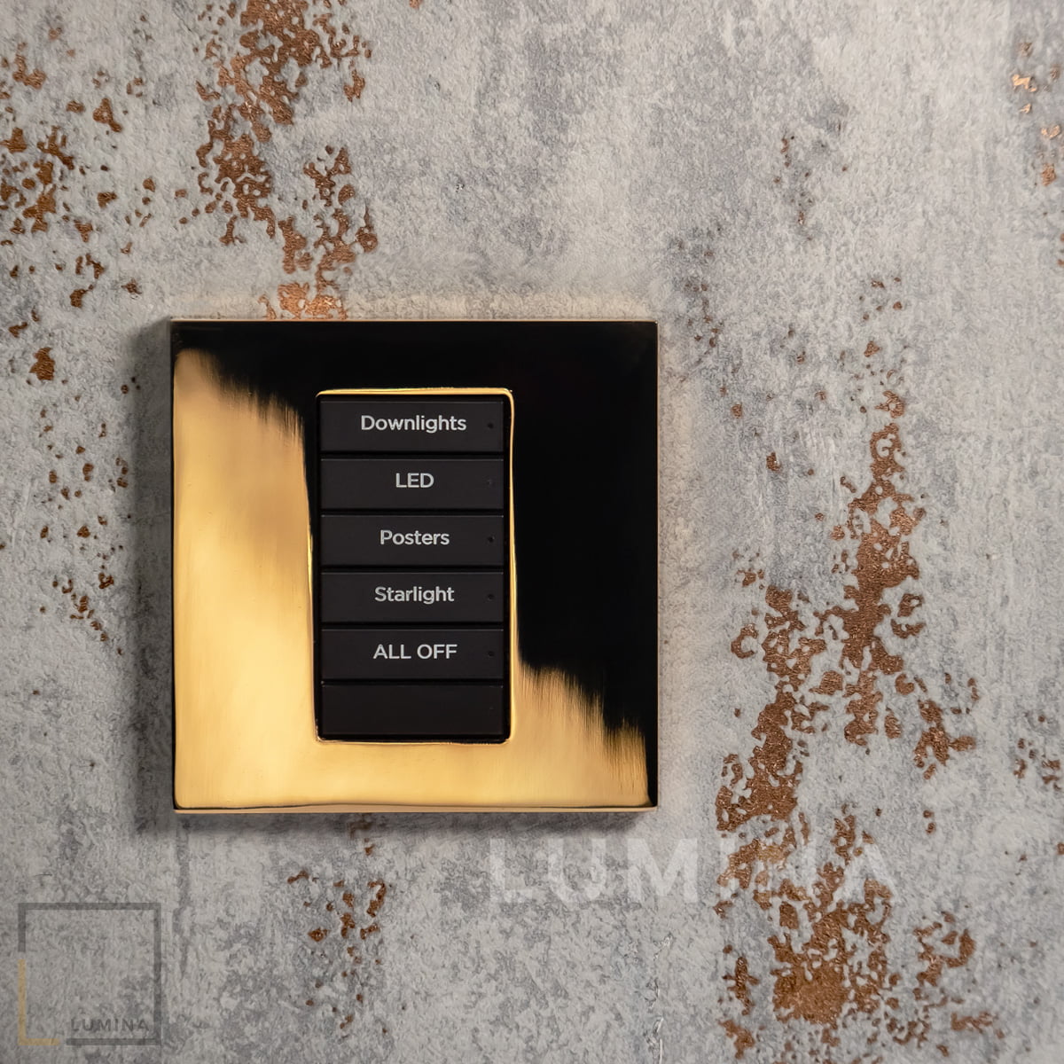 Polished Brass Contemporary Faceplate - LUMINA Ltd